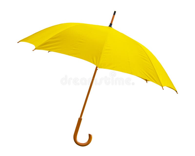 Butler holding an umbrella stock photo. Image of gentleman - 23413530