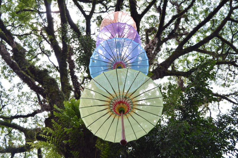 Umbrellas Full of Color and Shade Trees Stock Image - Image of symmetry ...
