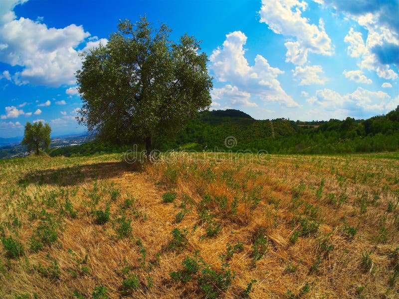Umbrian garden stock image. Image of europe, tourist - 95294563