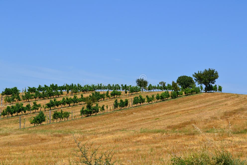 Umbrian landscape stock photo. Image of summer, landscape - 32591942
