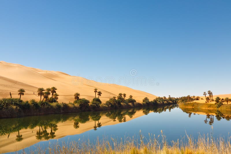 Desert Panorama - Sand Dunes - Sahara, Libya Stock Image - Image of ...