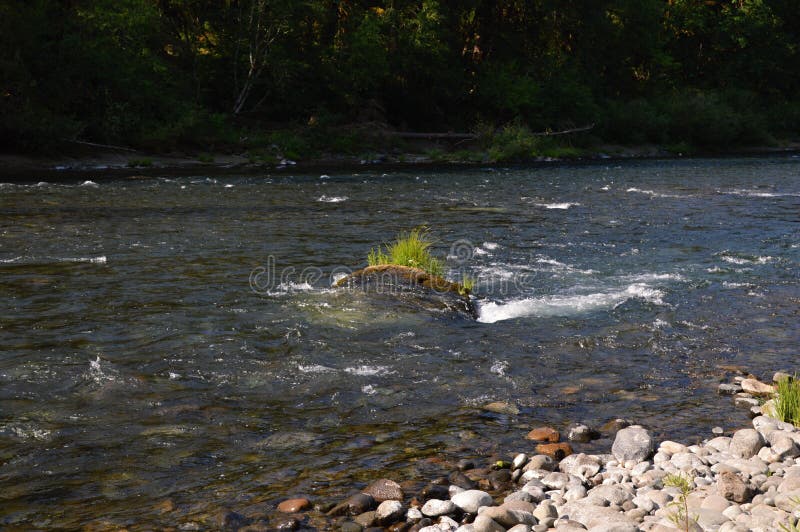 Umpqua River in the Cascade Range, Oregon Stock Image - Image of ...