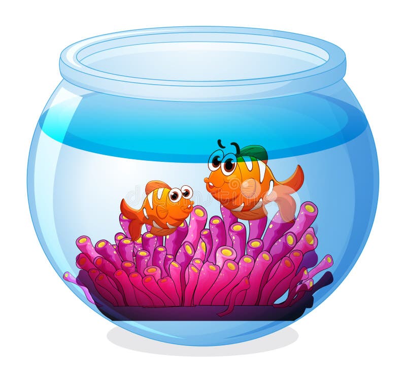 Poissons dans l'aquarium illustration stock. Illustration du animal ...