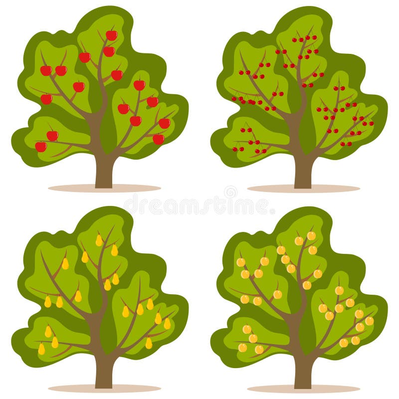 Un arbre avec le fruit illustration de vecteur. Illustration du fond ...