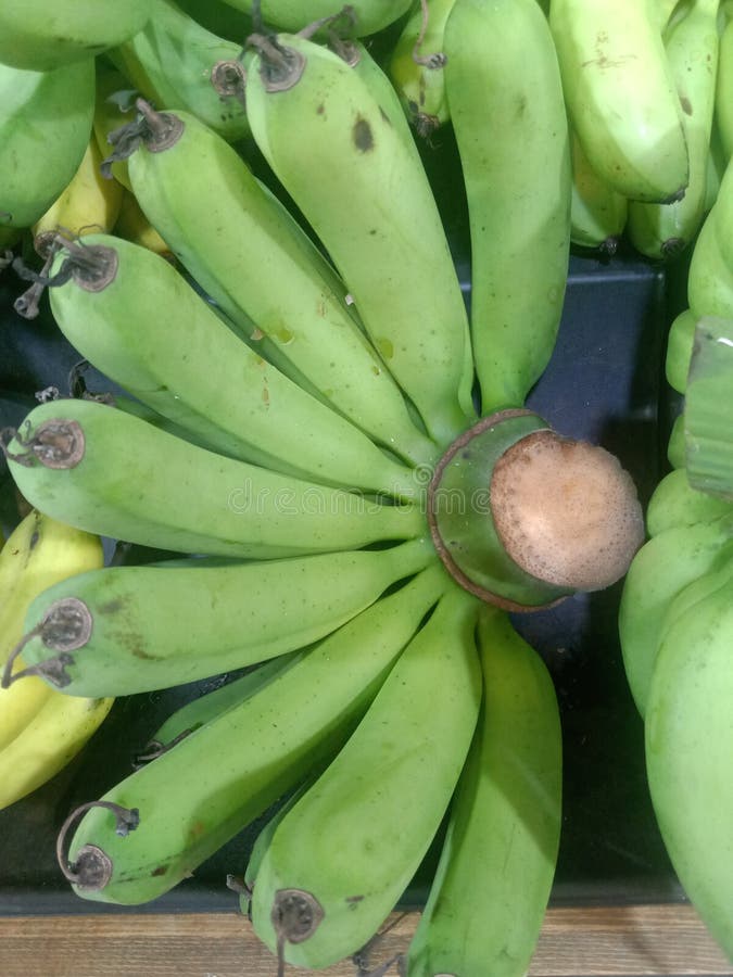 Un Banano Verde Se Ve Tan Delicioso Foto de archivo - Imagen de ...