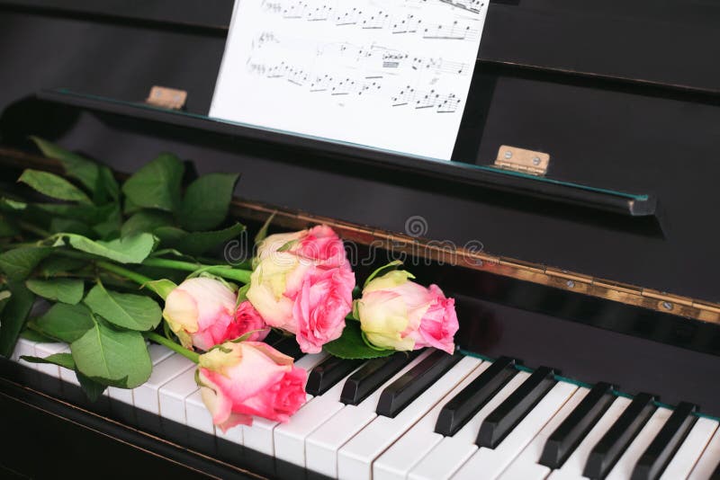 Un Bouquet Des Roses Et Des Notes Roses Sur Le Clavier De Piano Photo ...