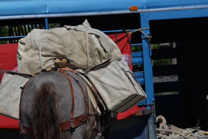 Un Caballo De Carga Listo Para El Camino Imagen de archivo - Imagen de ...