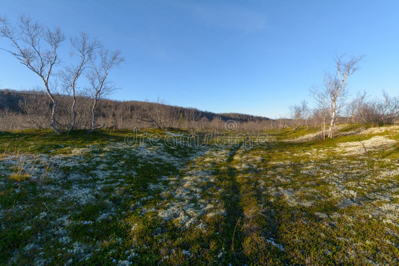 Un camino en la tundra foto de archivo. Imagen de paisaje - 221702382