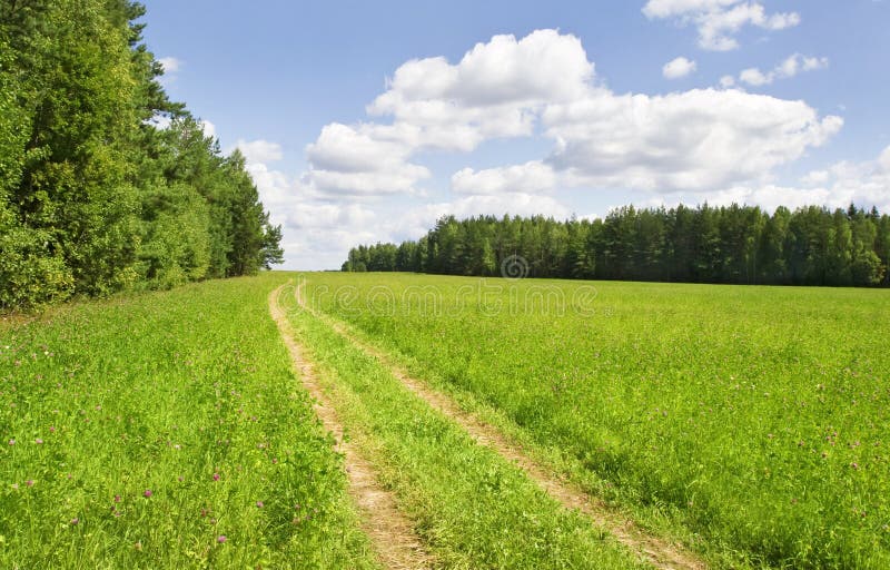 Un Camino Rural En El Campo Foto de archivo - Imagen de celaje ...