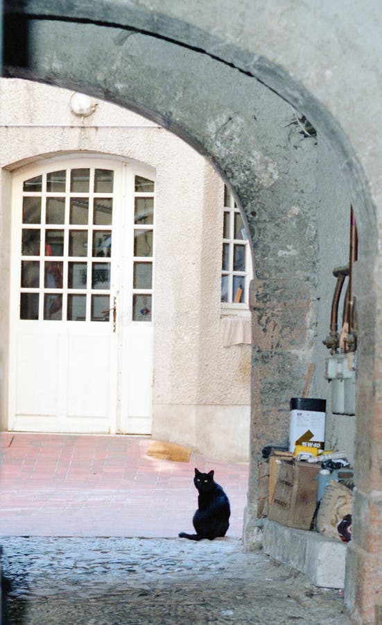 Chat noir dans la ruelle photo stock. Image du superstition - 27967158