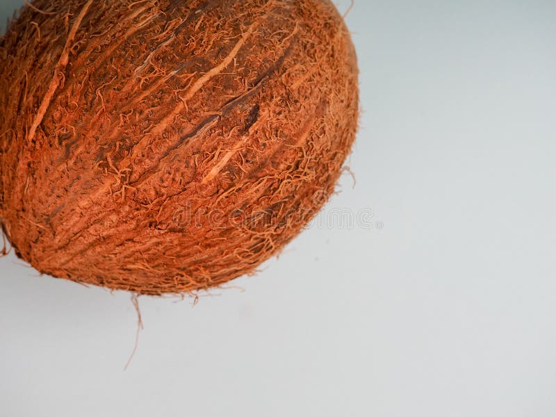 Un Coco, Parte De La Textura Para Las Tarjetas, Espacio Para El Texto ...