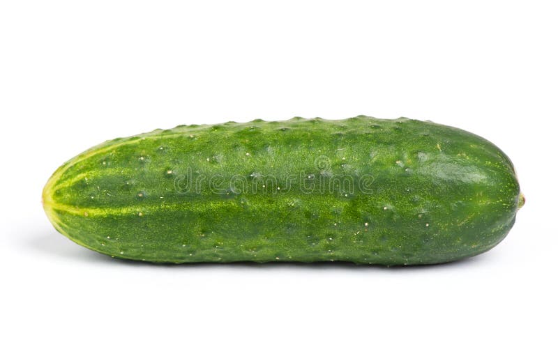 Un concombre photo stock. Image du studio, blanc, centrale - 56506192