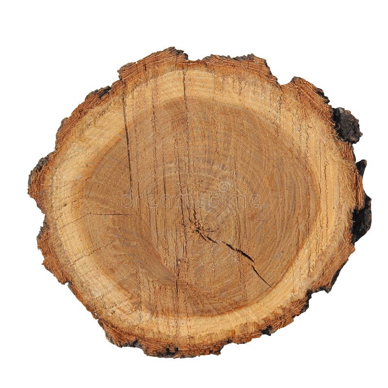 Un Corte De Madera Aserrada. Un Trozo De Madera Sobre Un Fondo Blanco ...