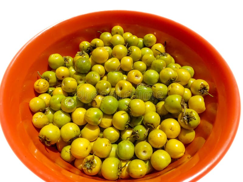 Un Cuenco De Nanches Guerrero, México Foto de archivo - Imagen de sano ...