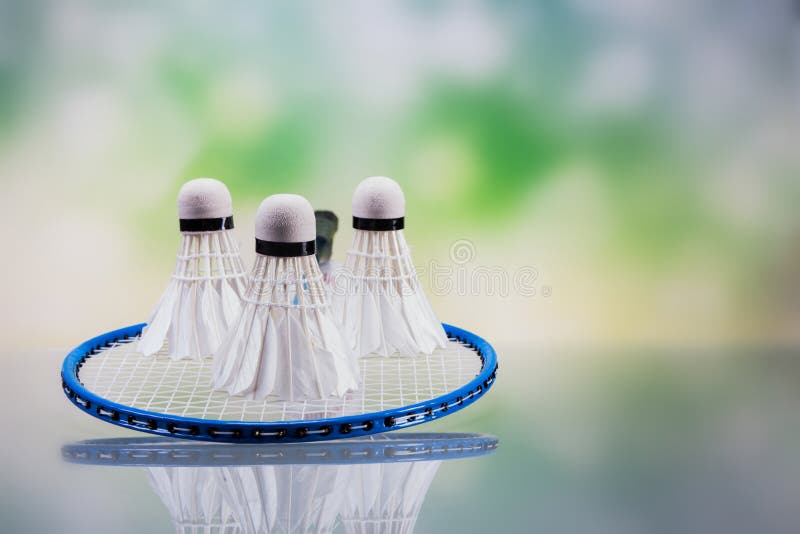 Un Ensemble De Badminton Palette Et Le Volant Image stock - Image du ...