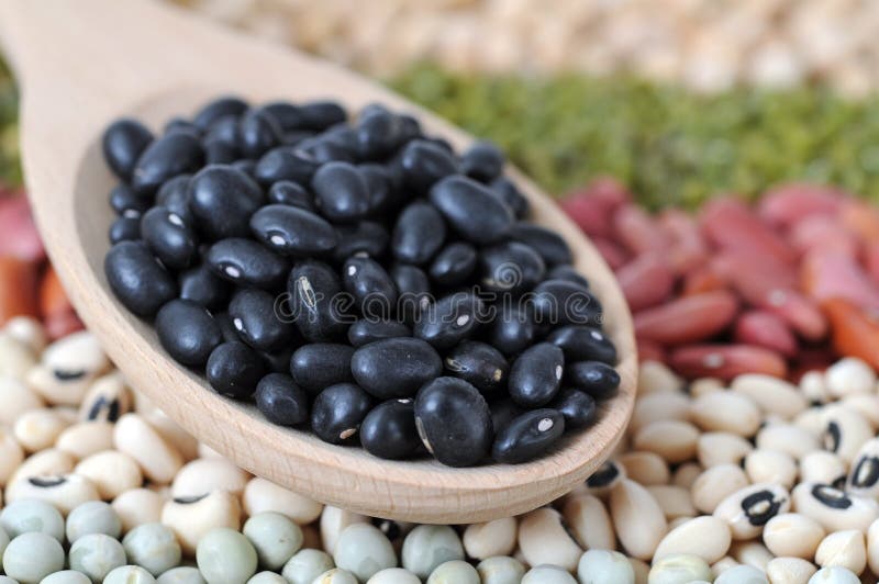 Un fagiolo nero i immagine stock. Immagine di alimento - 31754589