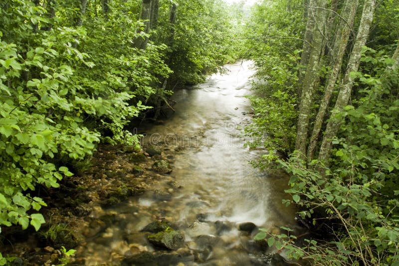Rivière En Forêt Photo De Fond Dans Pont Du Gard Gardon Nimes France ...