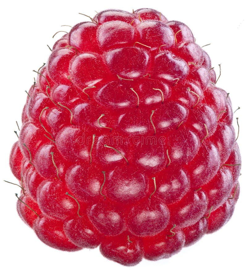 Un Fruit Riche De Framboise D'isolement Sur Un Blanc Photo stock ...