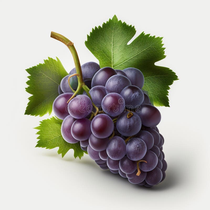 Un Grupo De Frutas De Uva En Ai Generativo De Fondo Blanco Stock de ... Un Grupo De Frutas De Uva En Ai Generativo De Fondo Blanco Stock de ...