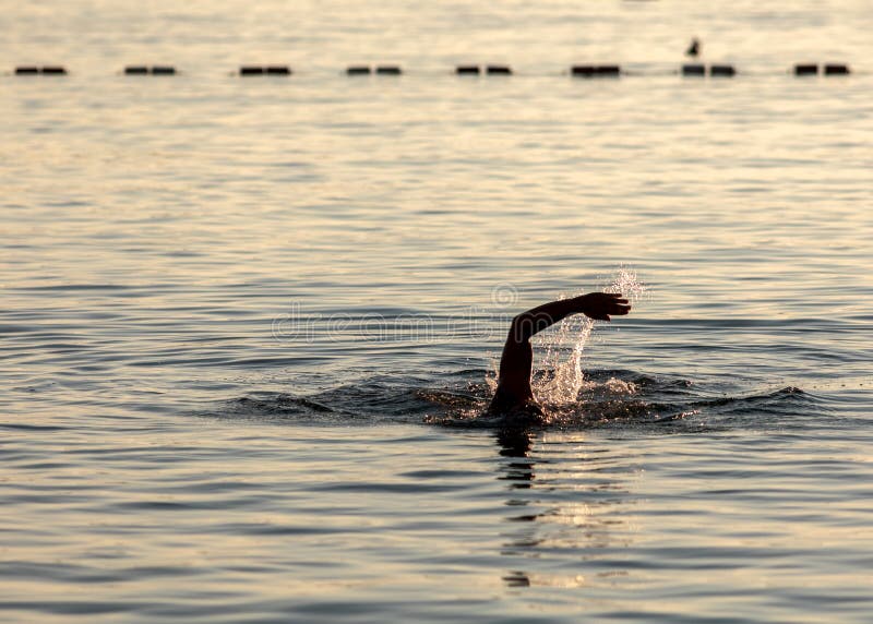 552 Photos de Un Homme Nage En Mer - Photos de stock gratuites et ...
