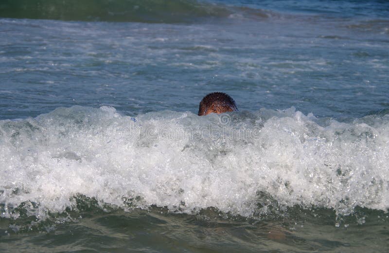 552 Photos de Un Homme Nage En Mer - Photos de stock gratuites et ...