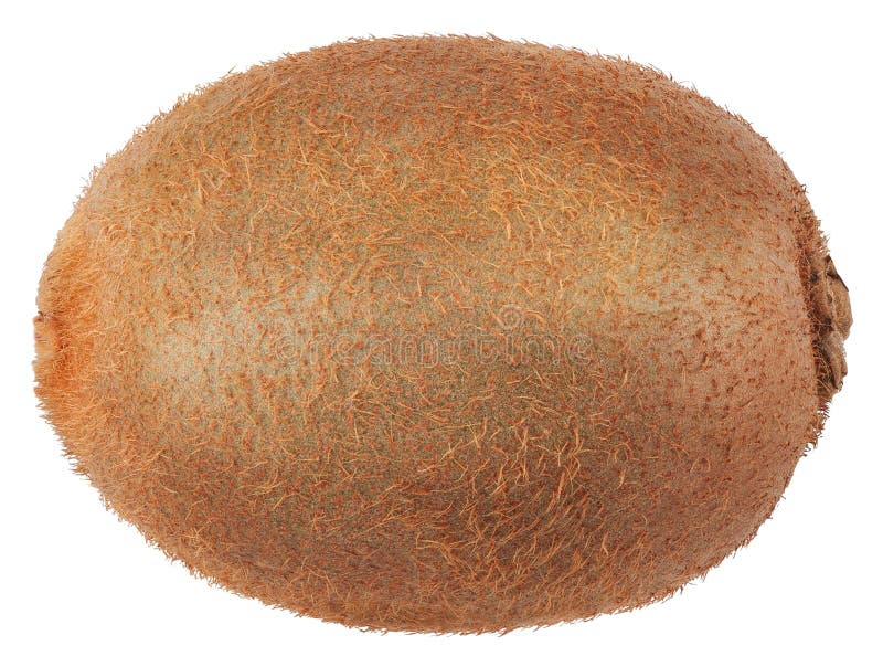 Kiwi Fruit entier photo stock. Image du kiwi, entier - 50381082