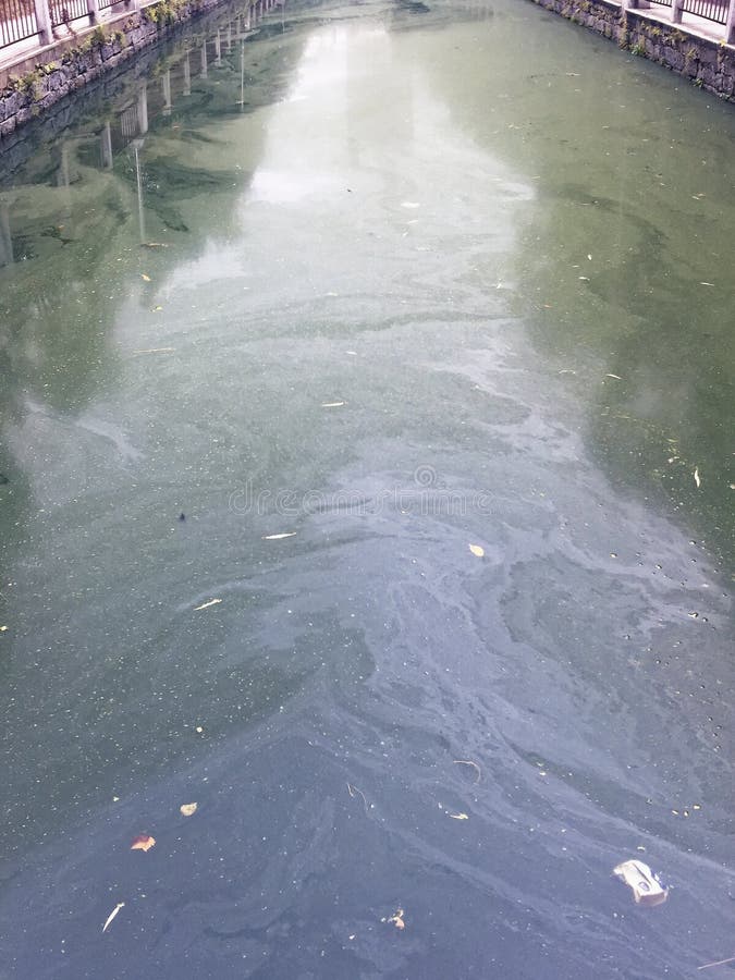 Un lago contaminado foto de archivo. Imagen de lago - 108088184