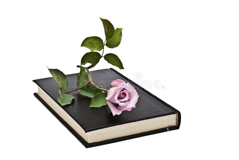 14,552 Libro Con Una Rosa Fotos - Libres de Derechos y Gratuitas de ...