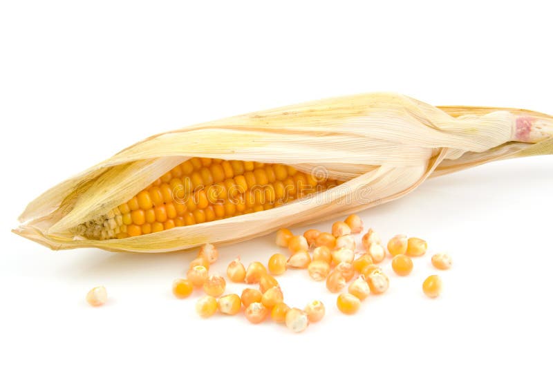 Centrale de Mais image stock. Image du nuage, organique - 6903375