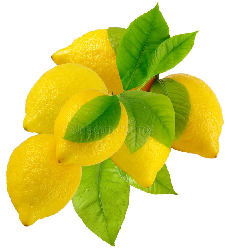 139 Piantagione Dei Limoni Foto - Foto Stock Gratis e Royalty-Free da ...