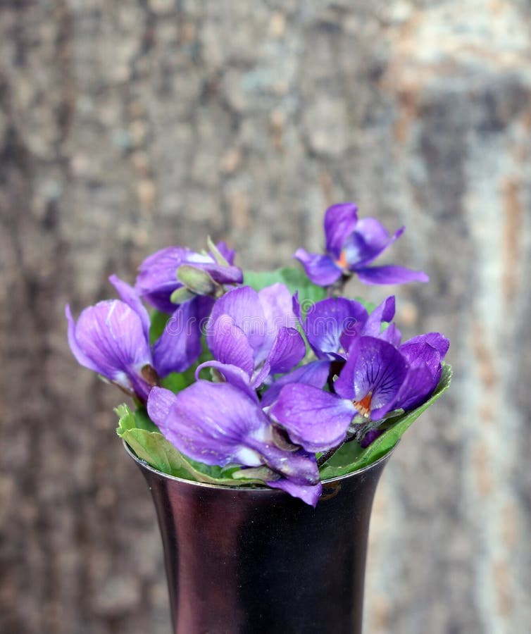 Mazzo delle viole fotografia stock. Immagine di struttura - 12215576