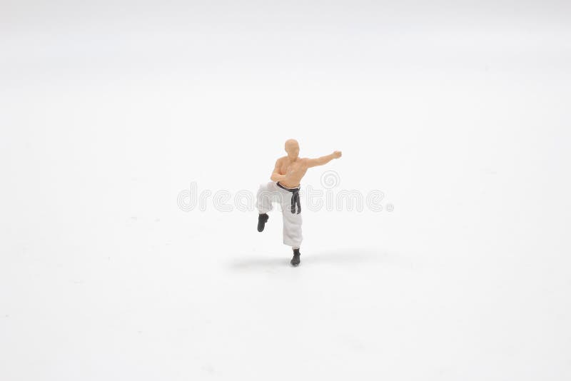 Un Mini Du Moine Chinois Shaolin Warriors Photo stock - Image of karaté ...