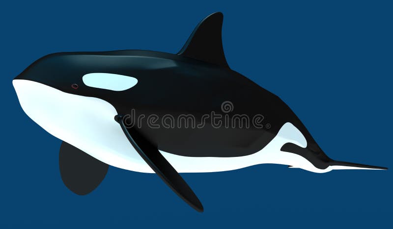 Un Modello Di Un'orca Stilizzata Illustrazione 3D Illustrazione di ...