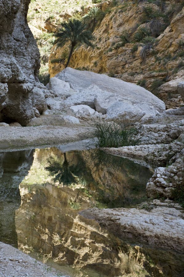 Un oued normal en Oman image stock. Image du été, moyen - 23173475