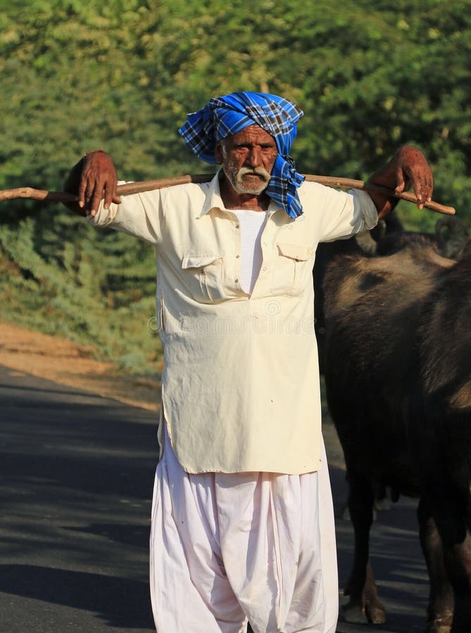 Un Rabari fotografia editoriale. Immagine di adatto - 105629837