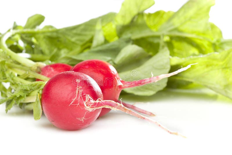 Un radis rouge frais photo stock. Image du radis, vert - 20100322