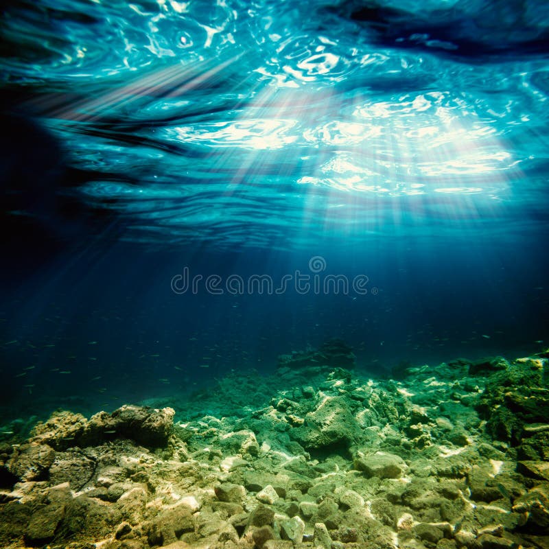 Un Sable De Fond Sur La Plage Sous-marine Photo stock - Image du ...