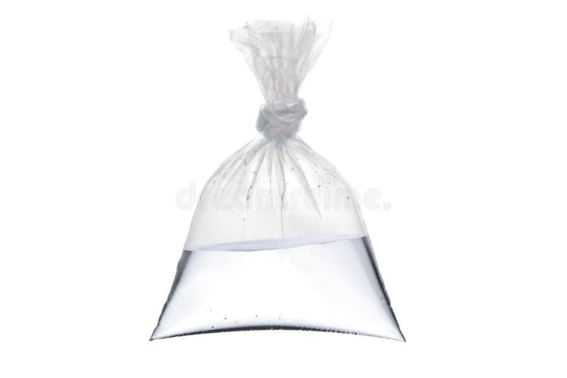 Un Sachet En Plastique Vide Avec De L'eau Photo stock - Image du blanc ...