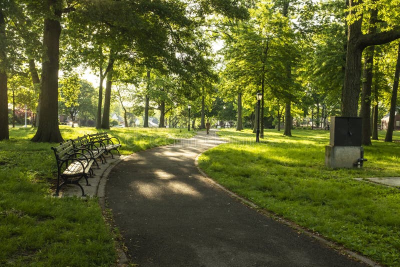 Un sendero soleado foto de archivo. Imagen de manera - 185576048