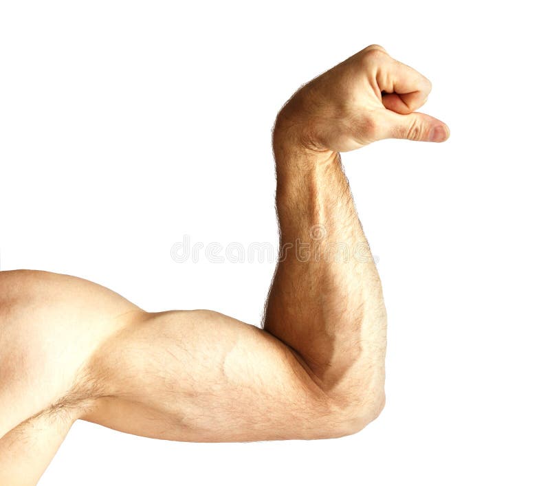 Il Giovane Muscolare Che Flette Il Braccio Muscles in Attrezzatura Di ...