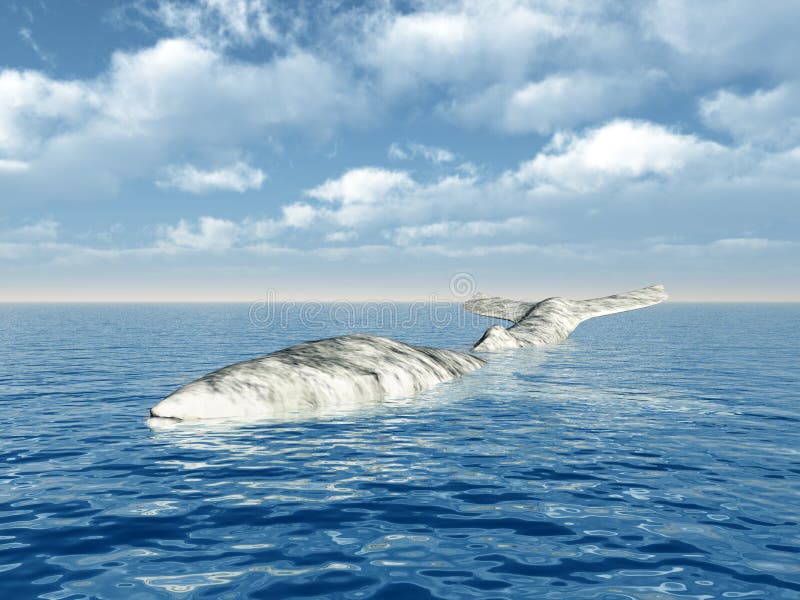 Una ballena blanca stock de ilustración. Ilustración de animales - 16927249