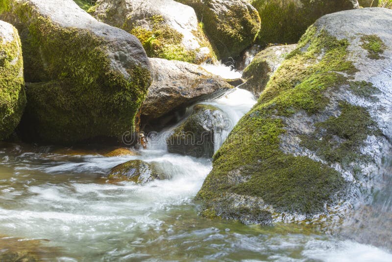 Una Cala Y El Agua Que Fluye Cerca Foto de archivo - Imagen de ...