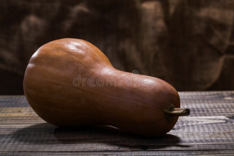 Una calabaza larga imagen de archivo. Imagen de objeto - 66536613