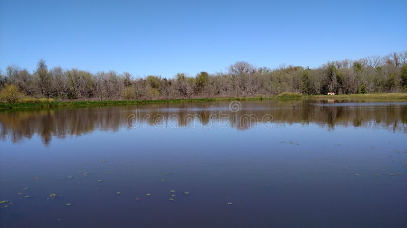Una Charca En El Valle Tejas De Brazos Imagen de archivo - Imagen de ...