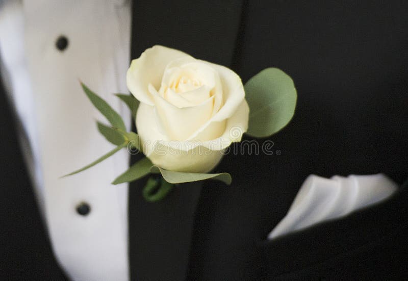 Una Flor En Una Solapa De Los Novios Foto de archivo - Imagen de ...