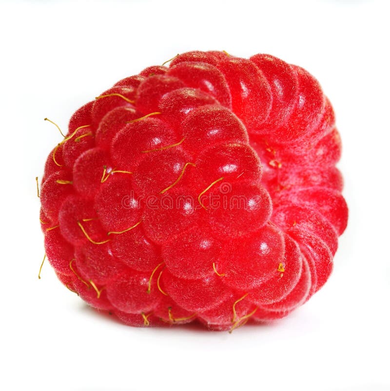 Una frambuesa foto de archivo. Imagen de dulce, dieta - 11395654