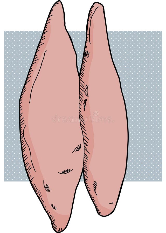 Una glándula de timo ilustración del vector. Ilustración de mano - 44747104