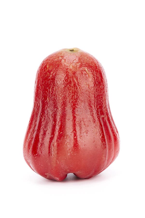 Una Manzana Java Entera Sobre Fondo Blanco Foto de archivo - Imagen de ...