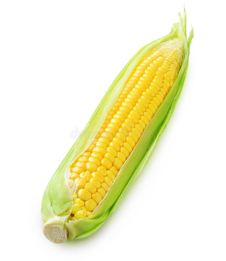 Una Mazorca De Maíz En Bruto Aislada En Blanco Imagen de archivo ...