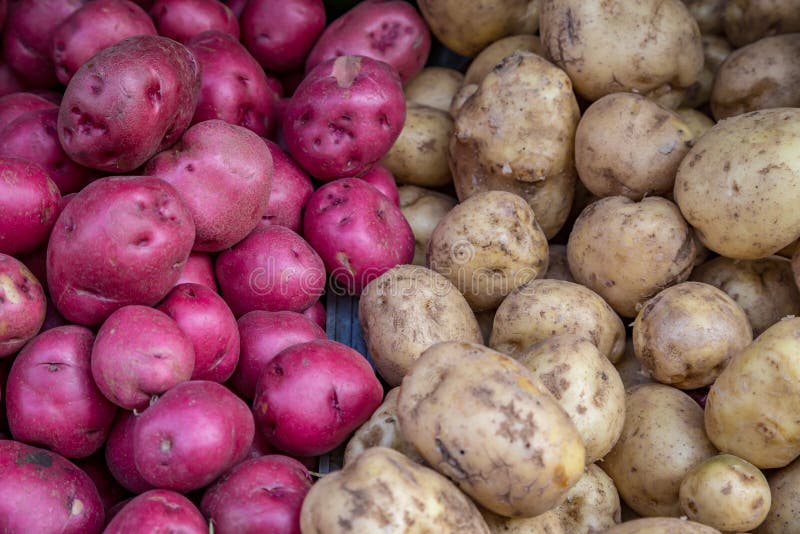Una Mezcla De Patatas Rojas Y Blancas Foto de archivo - Imagen de salud ...